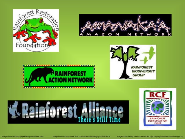 Saving the Rainforest | PPTX | Geography | Science