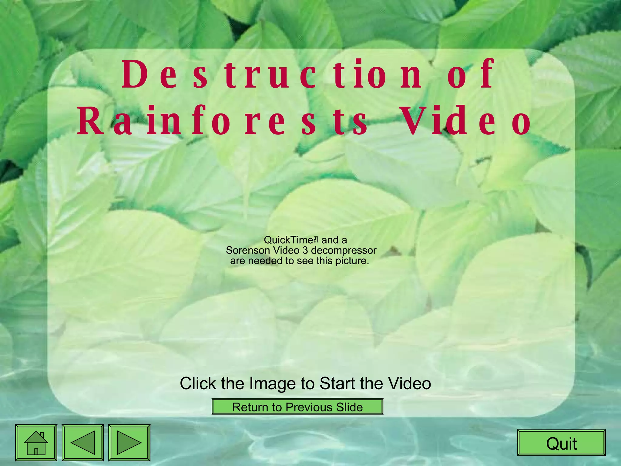 Rainforest Interactive Powerpoint | PPT
