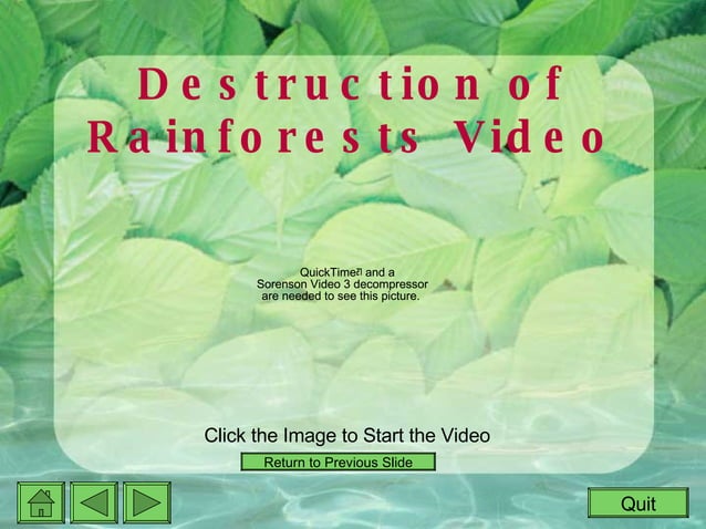 Rainforest Interactive Powerpoint | PPT