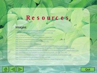 Rainforest Interactive Powerpoint | PPT