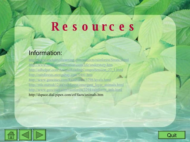 Rainforest Interactive Powerpoint | PPT