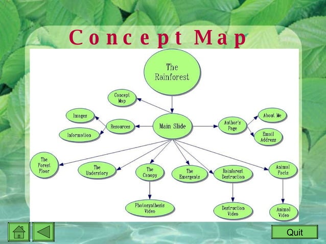 Rainforest Interactive Powerpoint | PPT