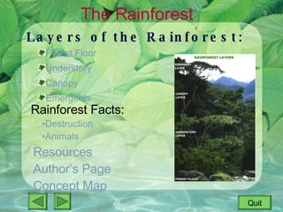 Rainforest Interactive Powerpoint | PPT