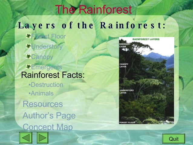 Rainforest Interactive Powerpoint | PPT
