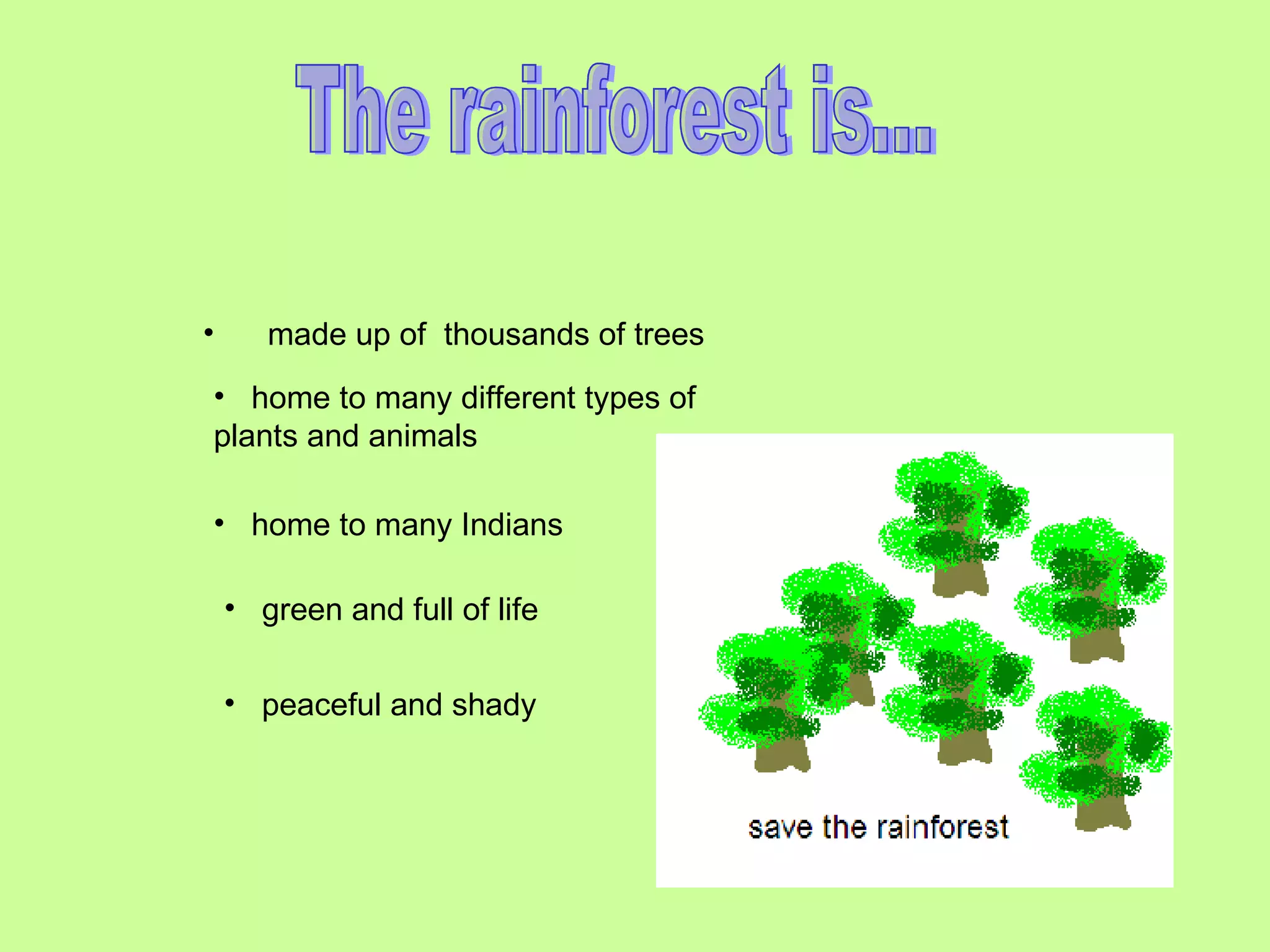Rainforest Presentation | PPT