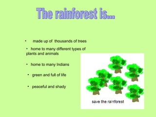 Rainforest Presentation | PPT