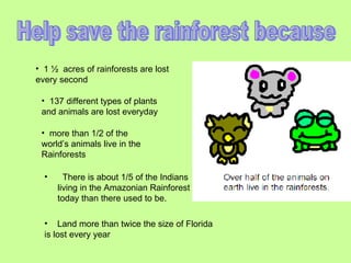 Rainforest Presentation | PPT