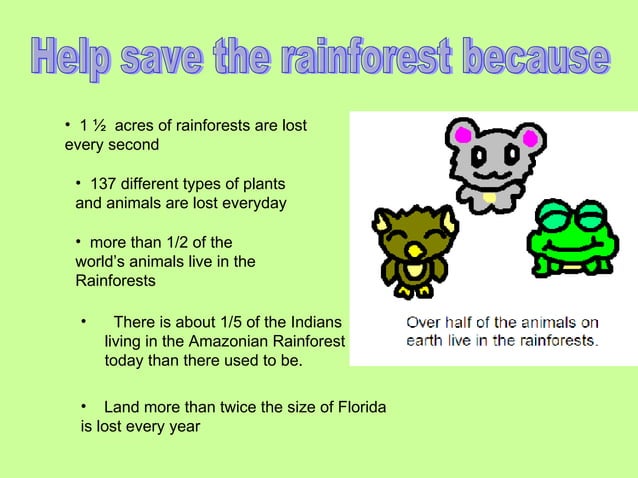 Rainforest Presentation | PPT