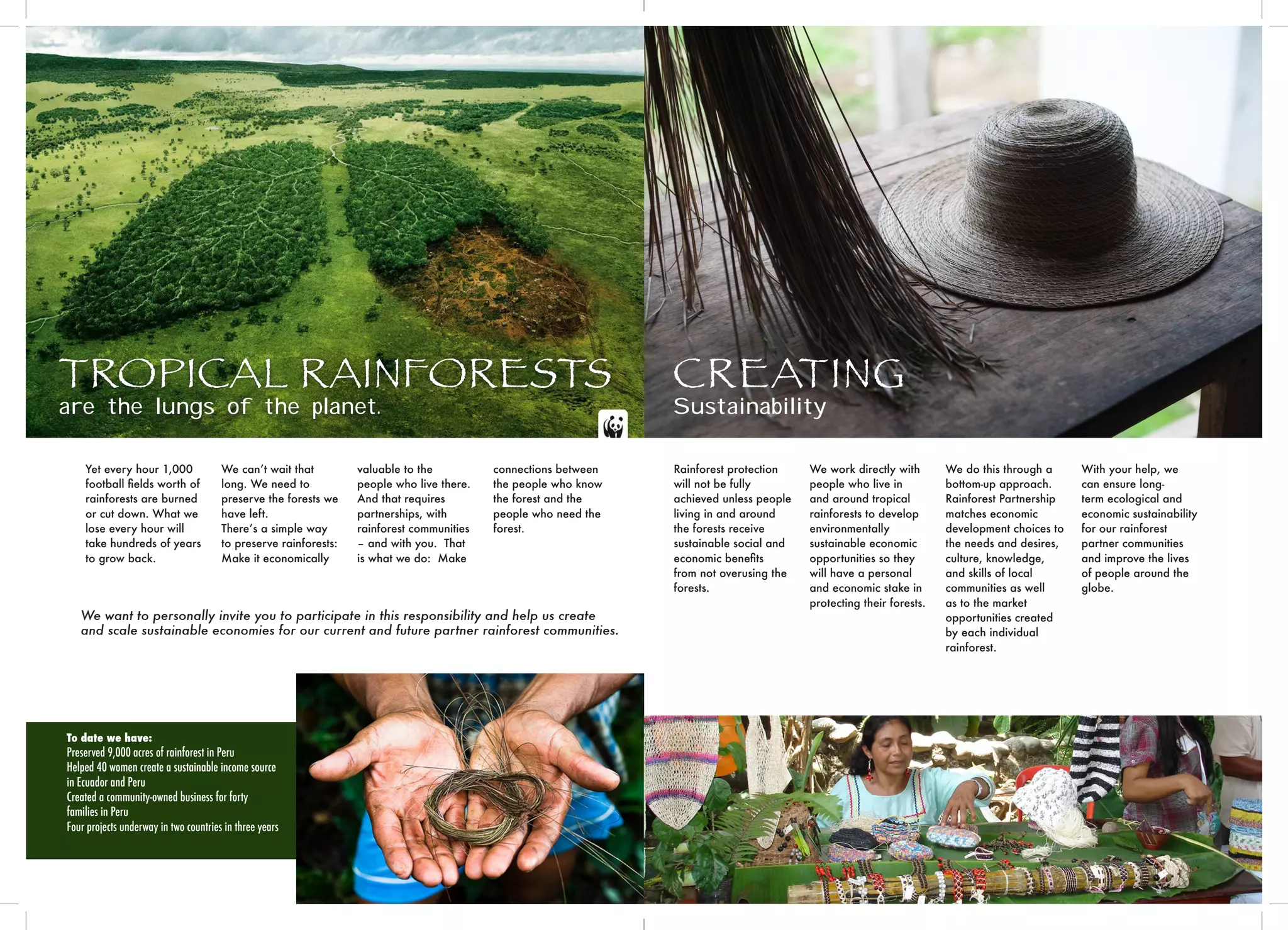Rainforest Partner | PDF