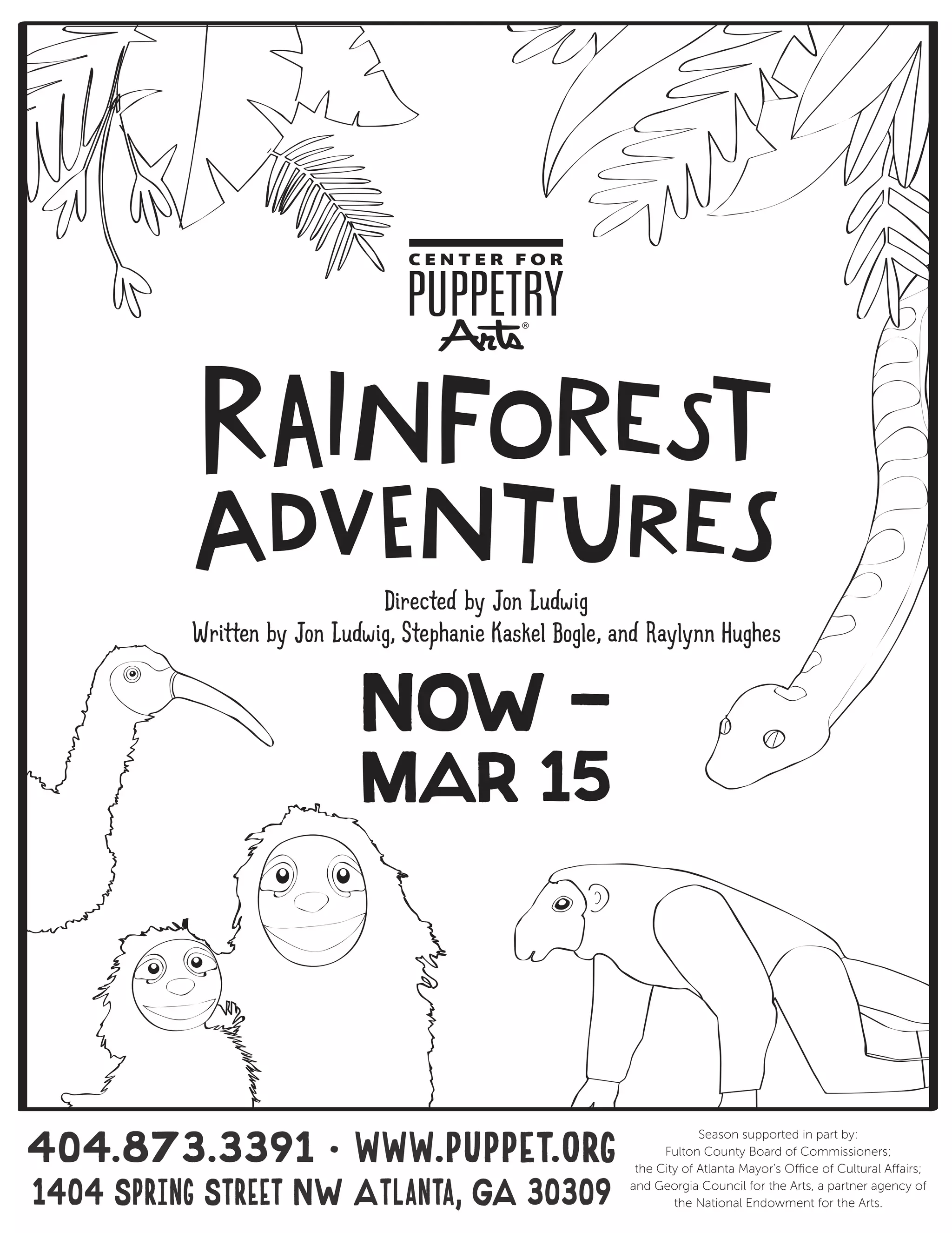 Rainforest Activity Sheet | PDF
