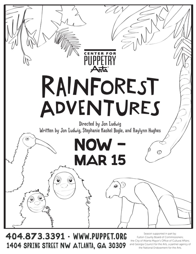 Rainforest Activity Sheet | PDF