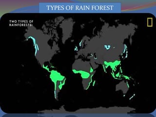 Rain forest and golbal warming | PPTX
