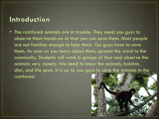 Rainforest animals | PPT
