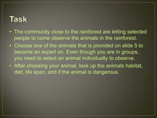 Rainforest animals | PPTX
