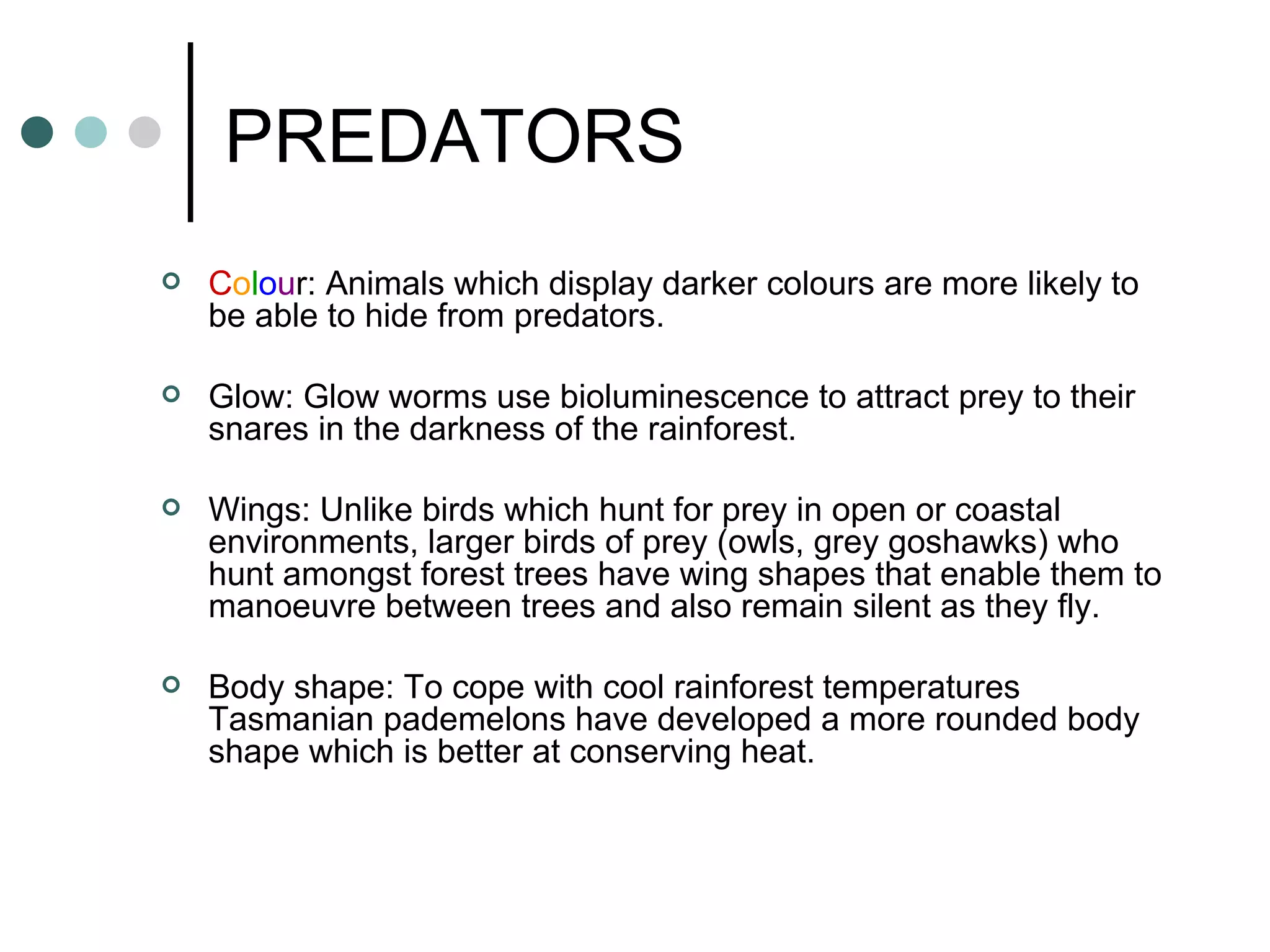 Rainforest animals and their adaptations | PPT