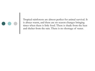 Rainforest animals and their adaptations | PPT