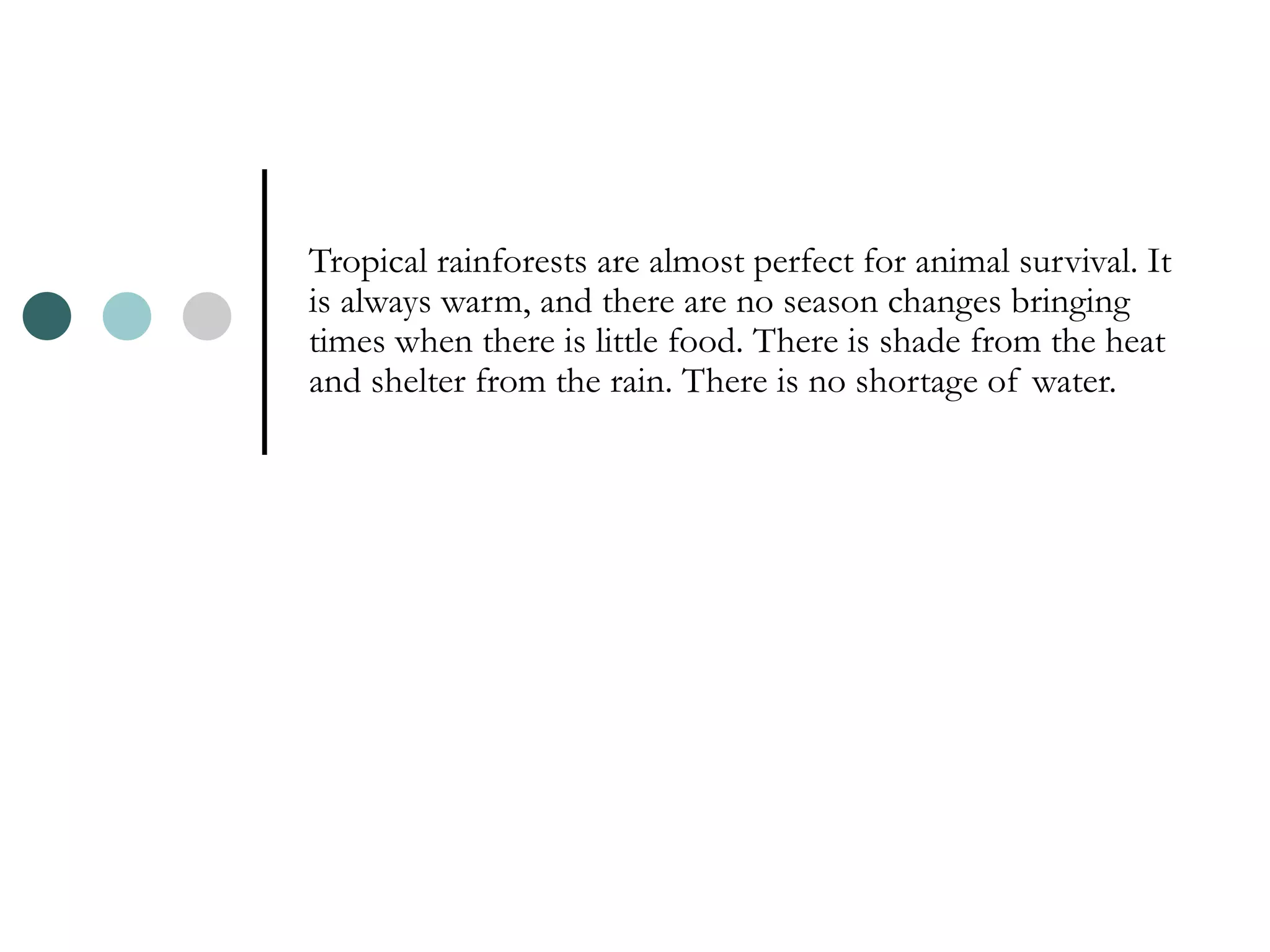 Rainforest animals and their adaptations | PPT