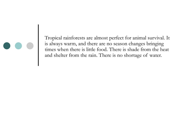 Rainforest animals and their adaptations | PPT