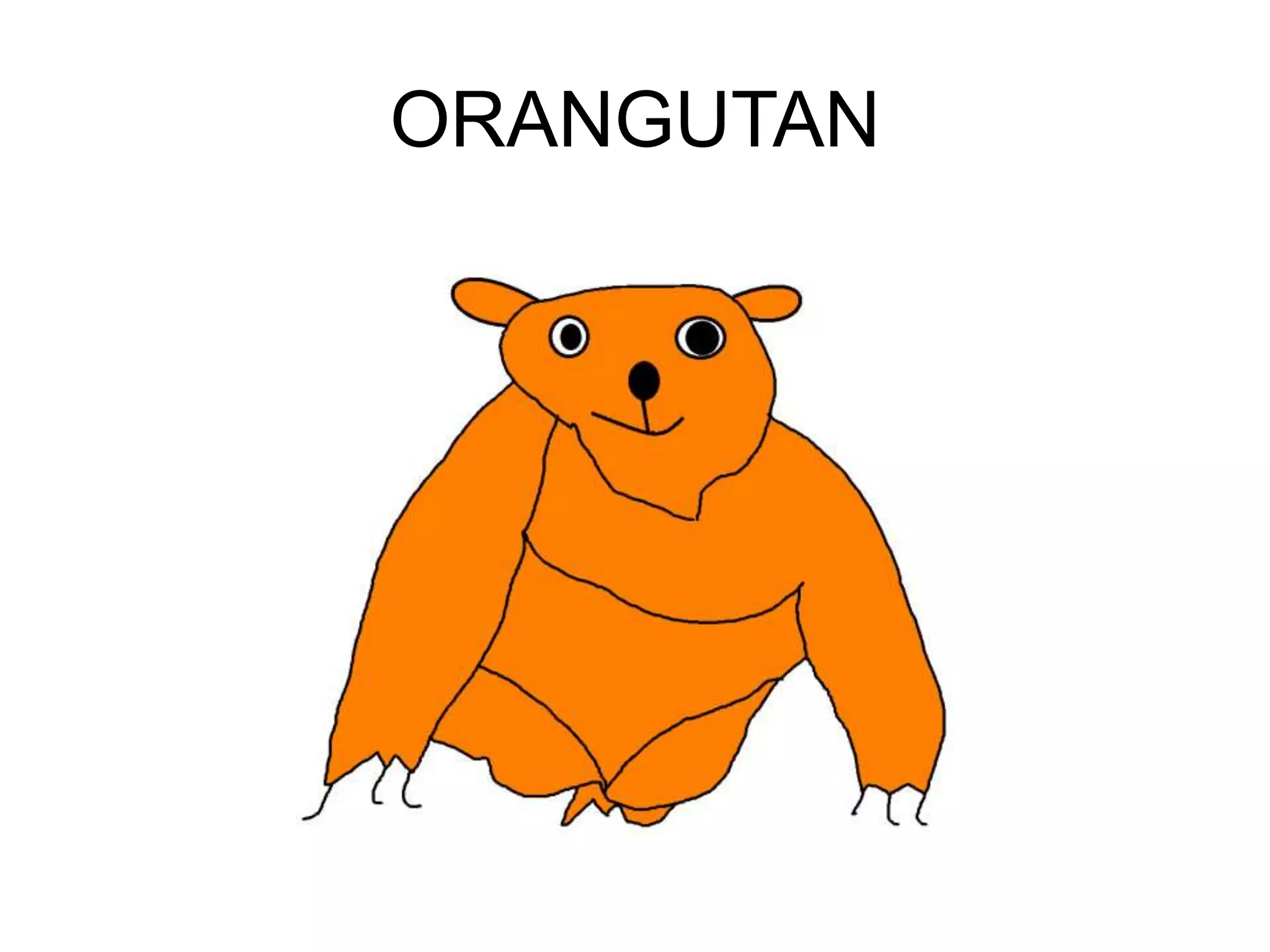 RAINFOREST ANIMALS= BOOK VERSION.pptx