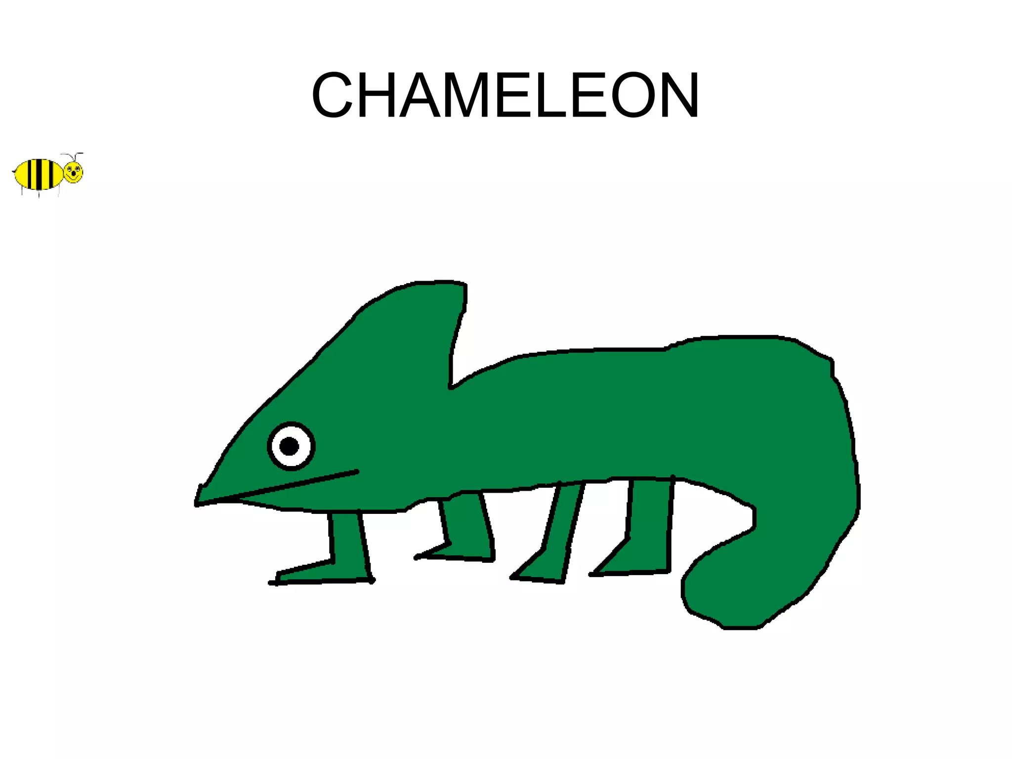 RAINFOREST ANIMALS= BOOK VERSION.pptx