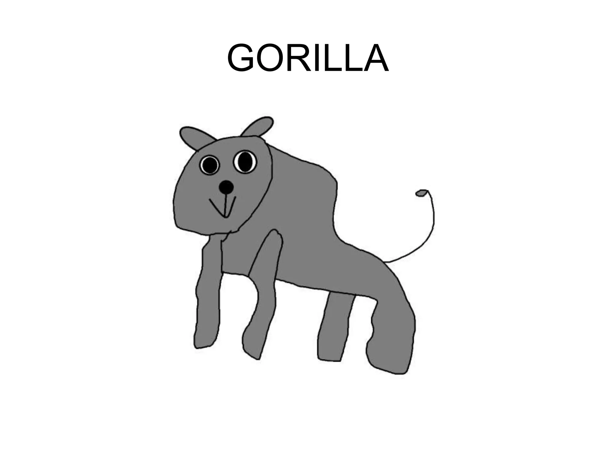 RAINFOREST ANIMALS= BOOK VERSION.pptx