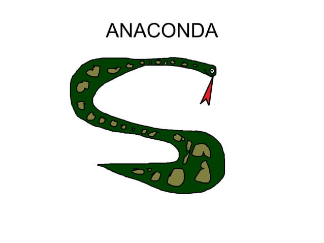 RAINFOREST ANIMALS= BOOK VERSION.pptx