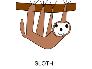 RAINFOREST ANIMALS= BOOK VERSION.pptx