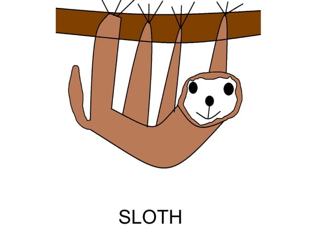 RAINFOREST ANIMALS= BOOK VERSION.pptx