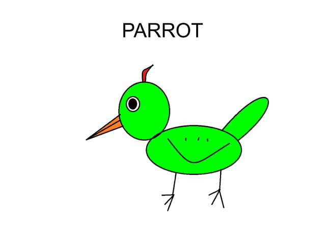 RAINFOREST ANIMALS= BOOK VERSION.pptx