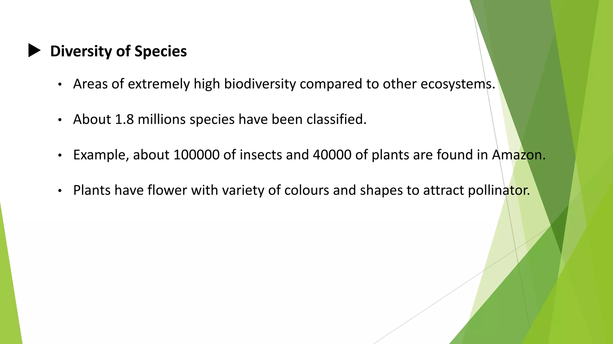 Rainforest biome and its characteristics | PPT