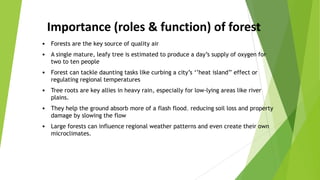 Rainforest biome and its characteristics | PPT