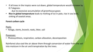 Rainforest biome and its characteristics | PPTX