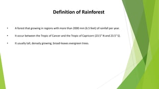 Rainforest biome and its characteristics | PPT