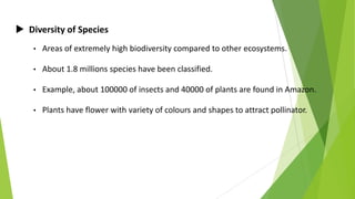 Rainforest biome and its characteristics | PPT