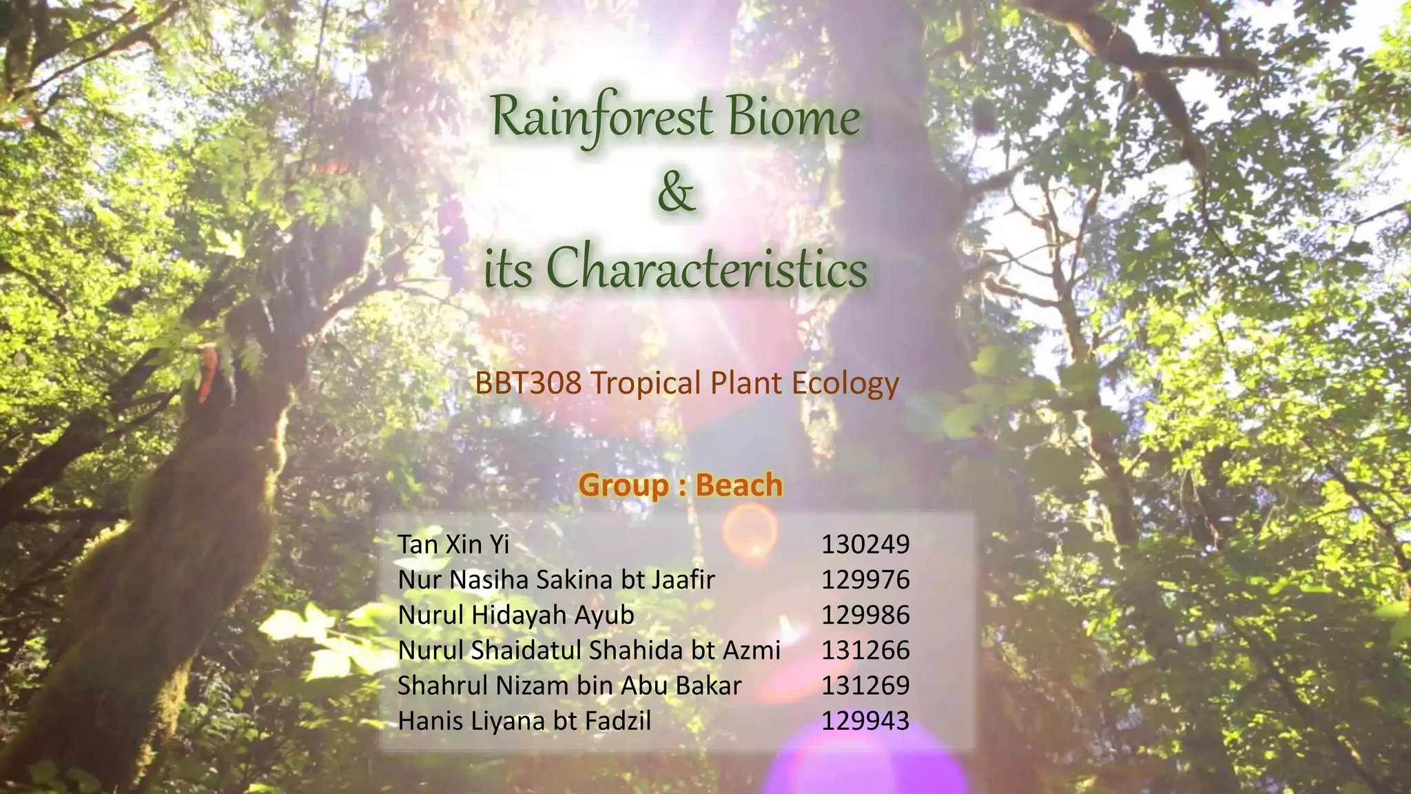 Rainforest biomes and characteristic | PPT