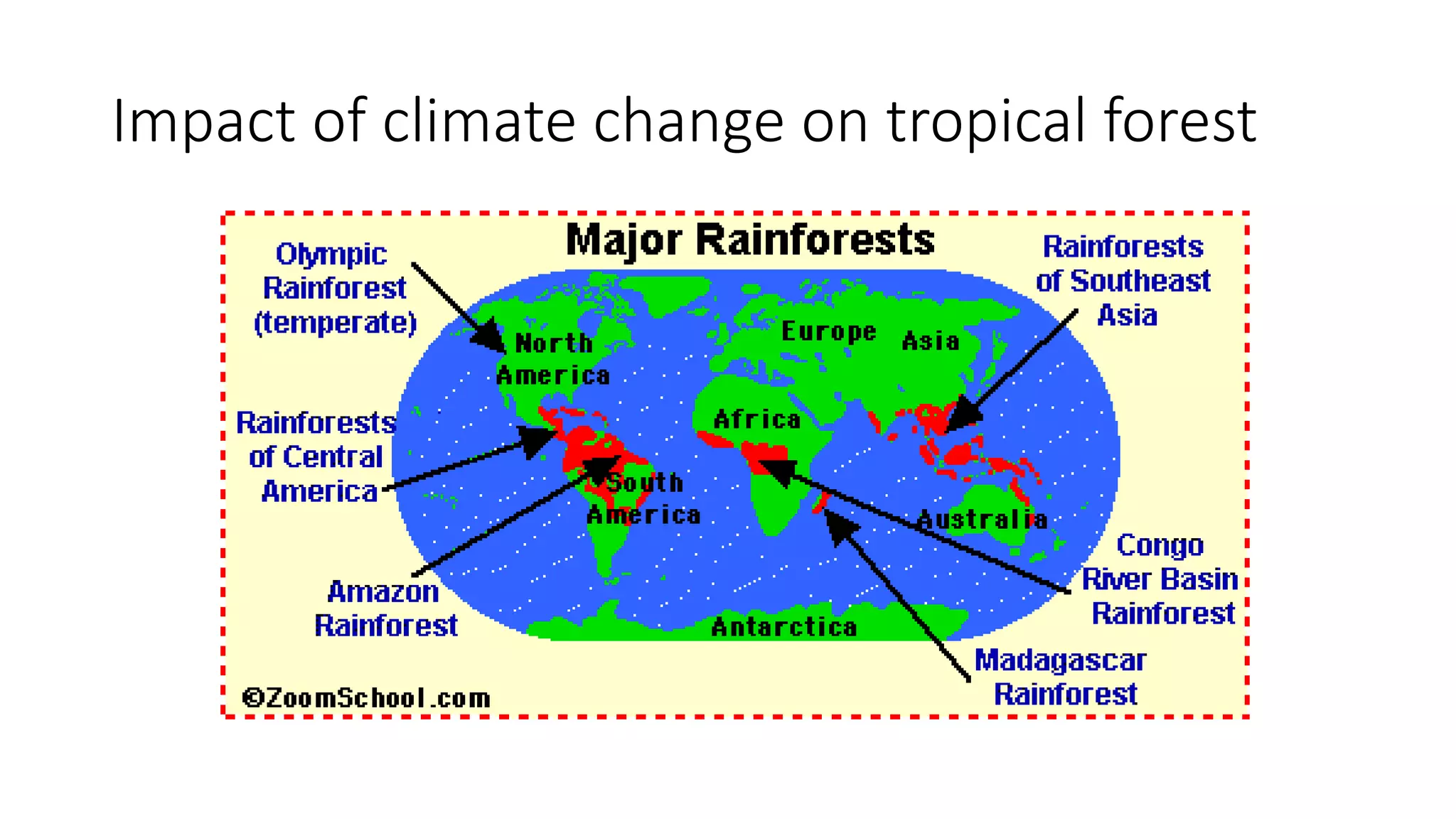 Rainforest biomes and characteristic | PPTX