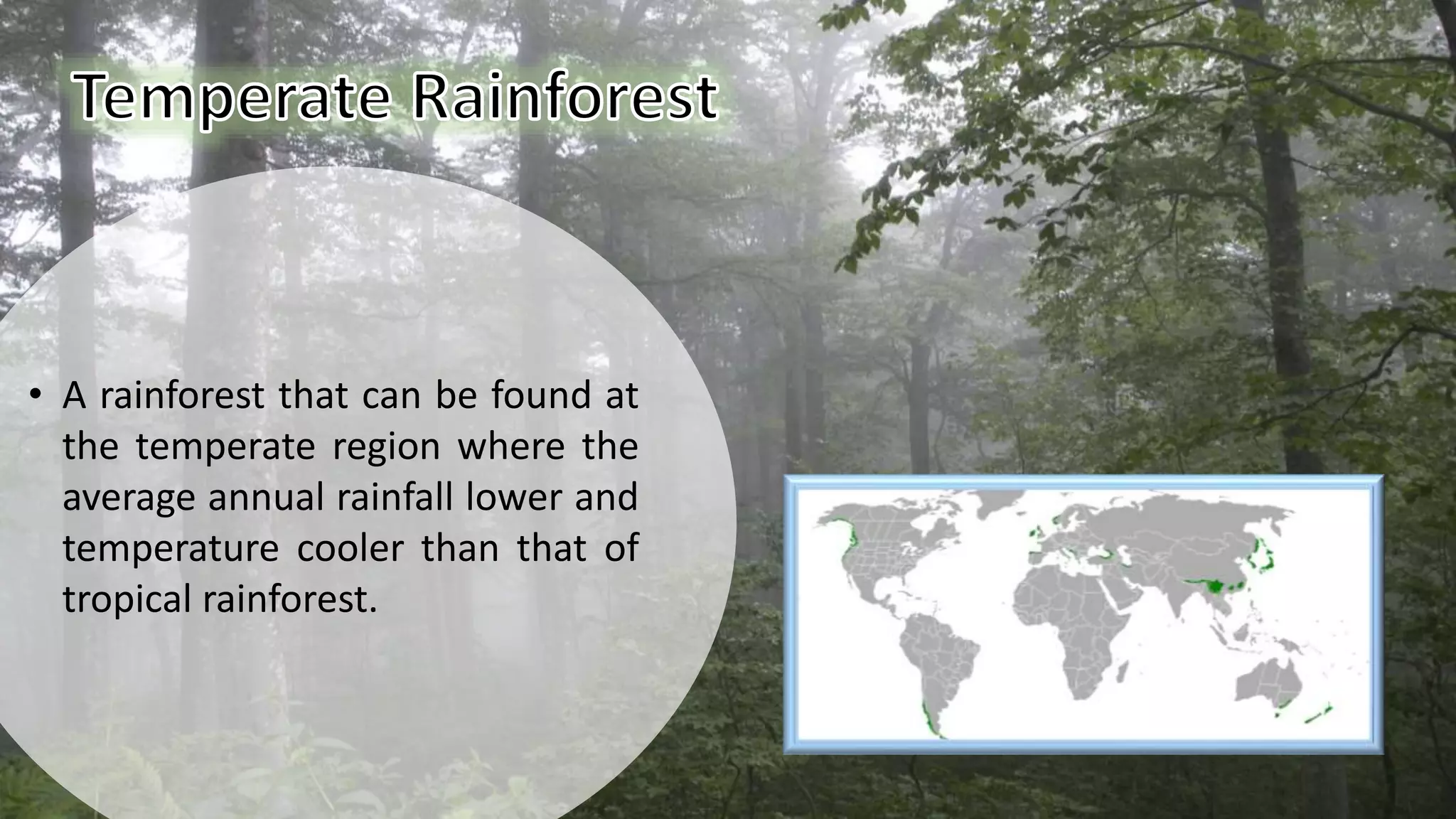 Rainforest biomes and characteristic | PPTX