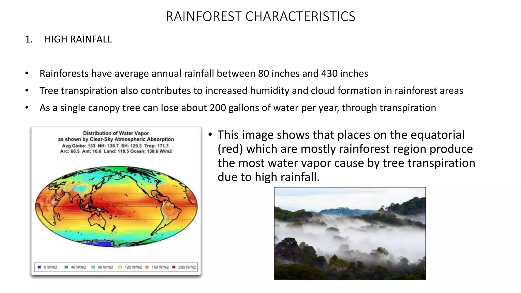 Rainforest biomes and characteristic | PPTX