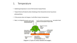 Rainforest biomes and characteristic | PPTX