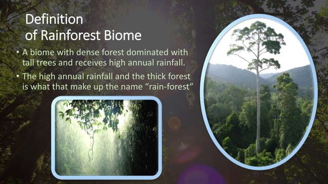 Rainforest biomes and characteristic | PPT