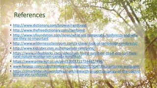 Rainforest biomes and characteristic | PPTX