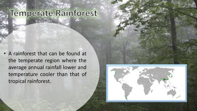 Rainforest biomes and characteristic | PPT