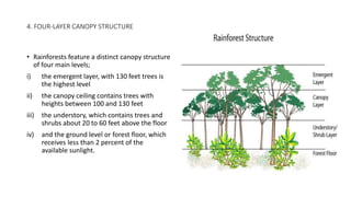 Rainforest biomes and characteristic | PPT