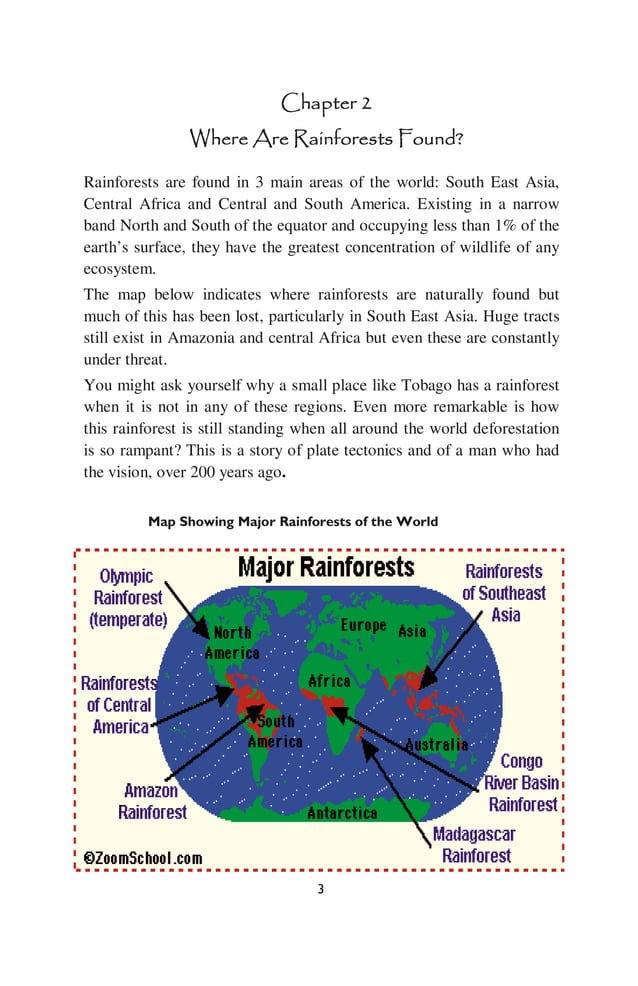 Rainforest Booklet Final Version | PDF | Geography | Science