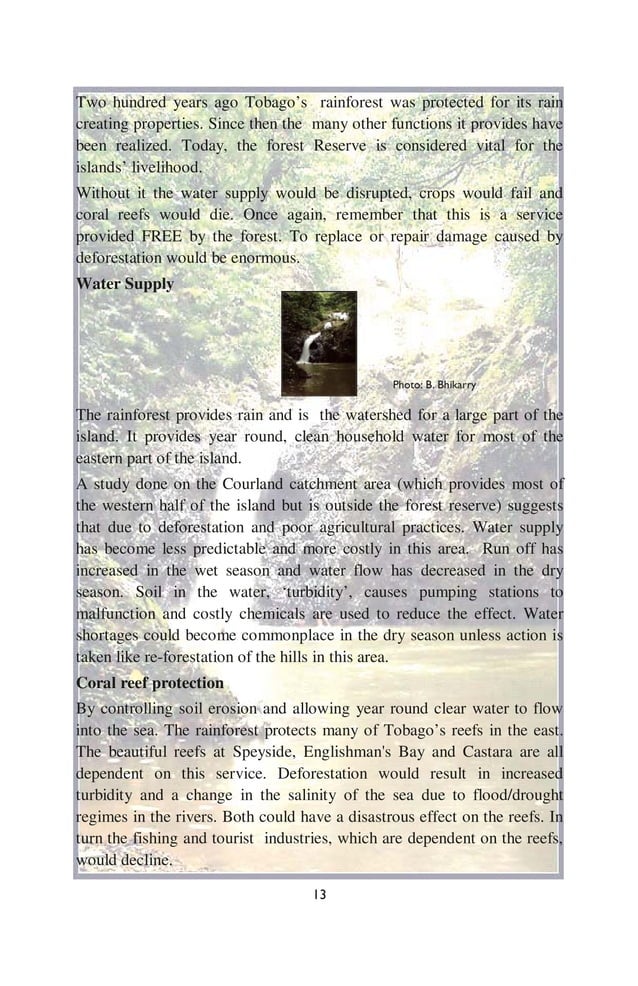 Rainforest Booklet Final Version | PDF | Geography | Science