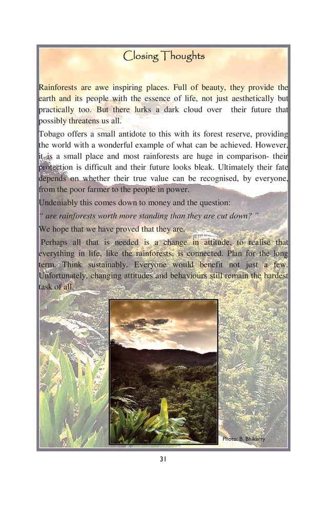 Rainforest Booklet Final Version | PDF | Geography | Science