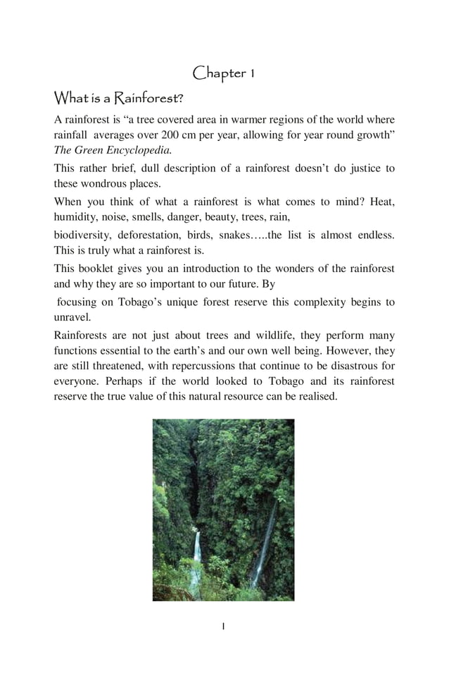 Rainforest Booklet Final Version | PDF | Geography | Science