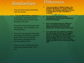 Rainforest comparisons | PPTX