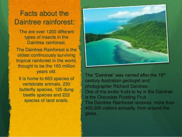 Daintree Rainforest Precipitation