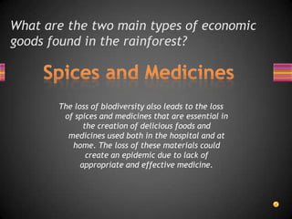 Rainforest conservation project | PPTX